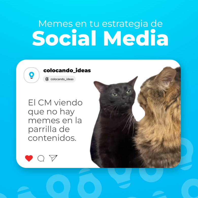 ¿Cómo incorporar los MEMES PARA TU MARCA? – Colocando Ideas Blog