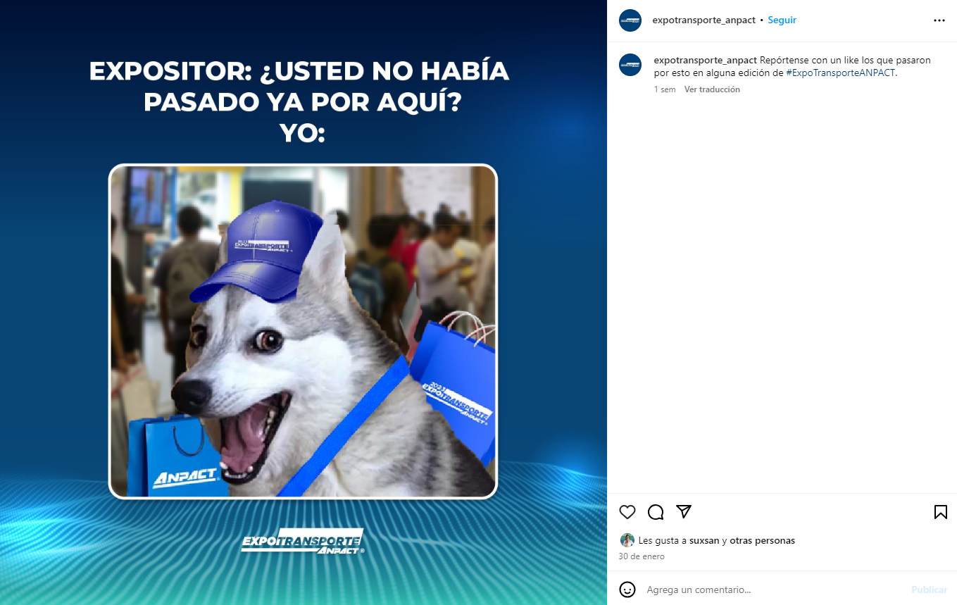 ¿Cómo incorporar los MEMES PARA TU MARCA? – Colocando Ideas Blog